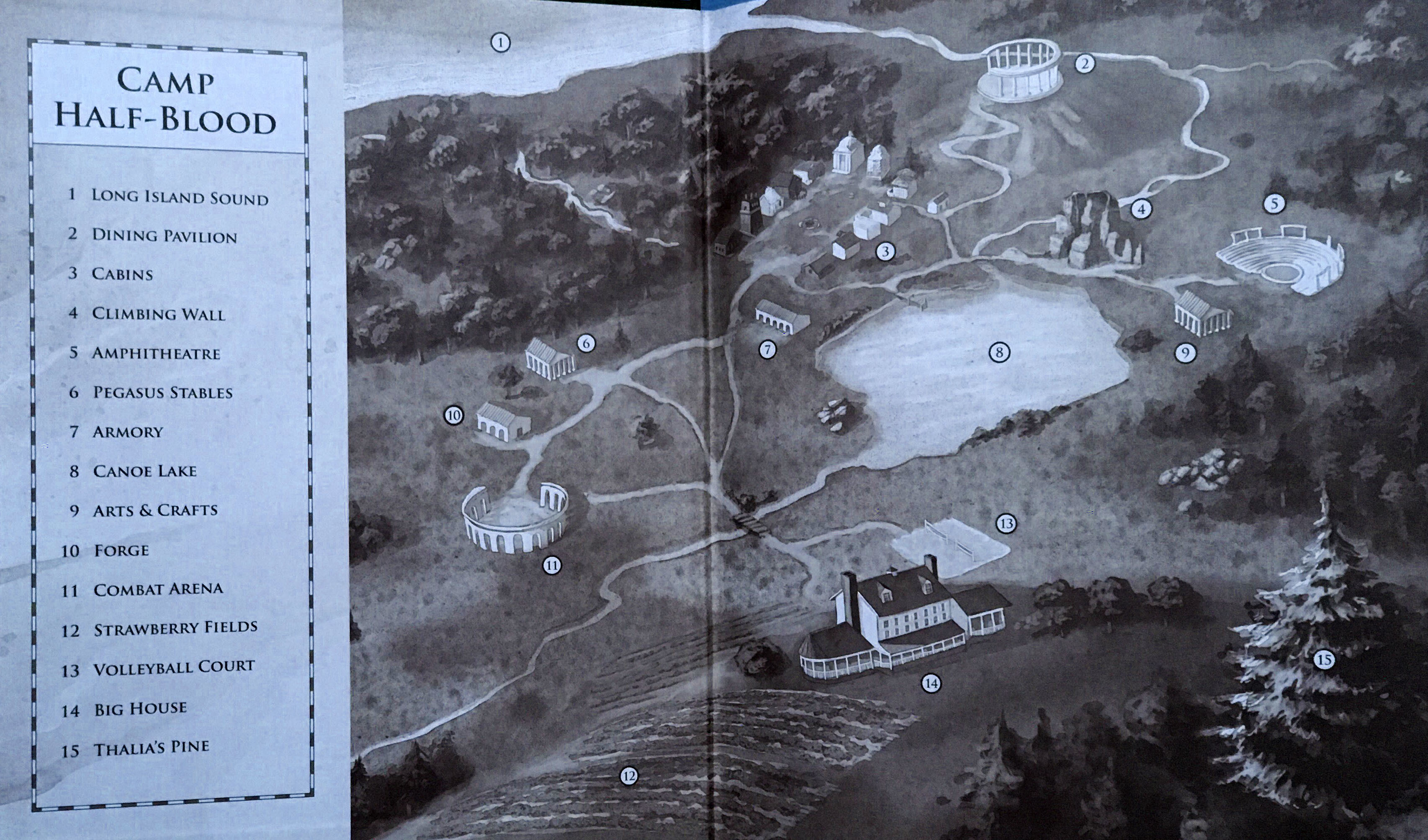 Percy Jackson Camp Half Blood Map